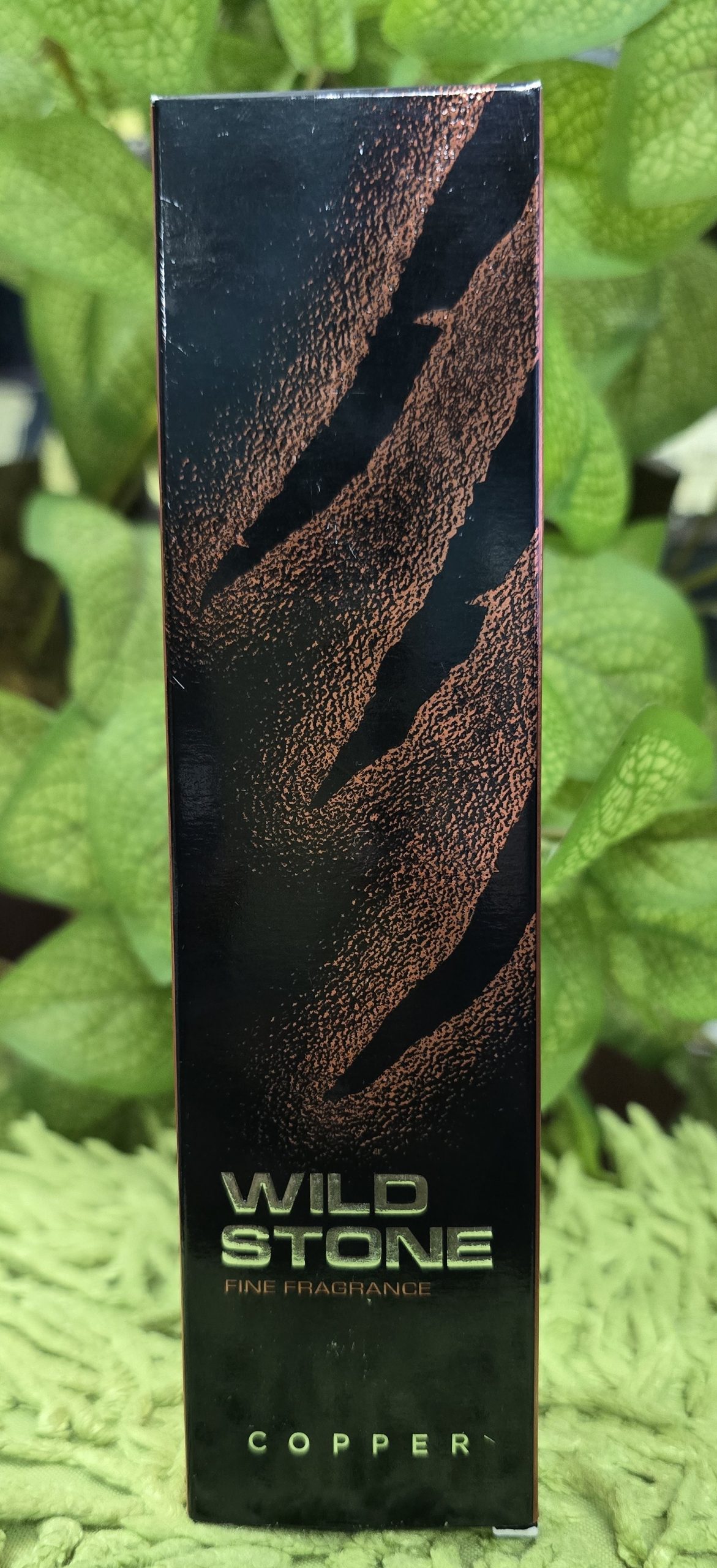 Wild Stone Copper Perfume (120ml) India/ওয়াইল্ড স্টোন কপার পারফিউম ...